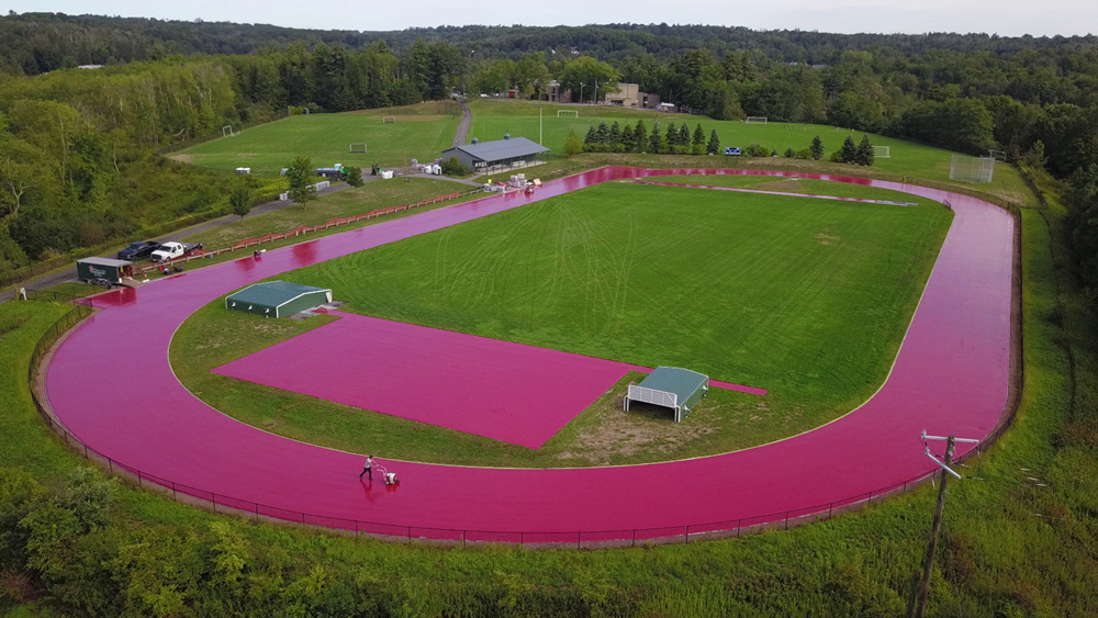 Plumb Hill track resurfacing well underway | Litchfield.bz