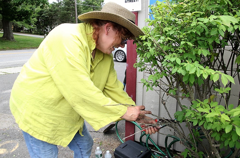 Curtain to rise at the new Bantam Cinema | Litchfield.bz