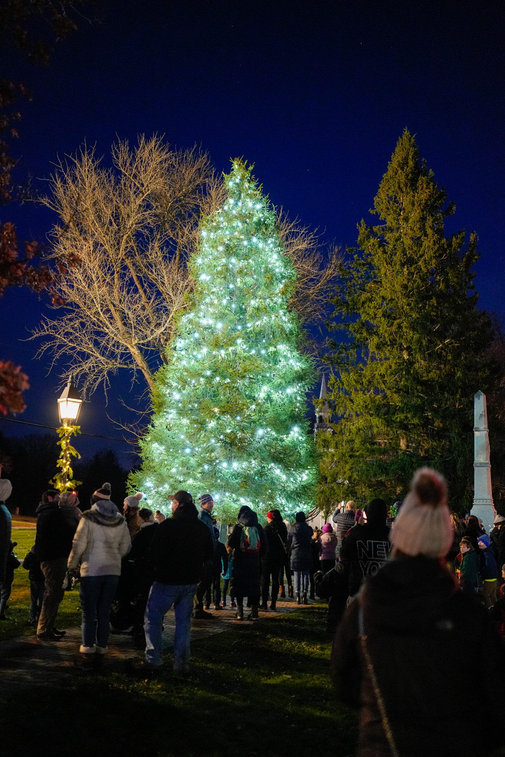 Tree lighting caps Christmas welcome | Litchfield.bz