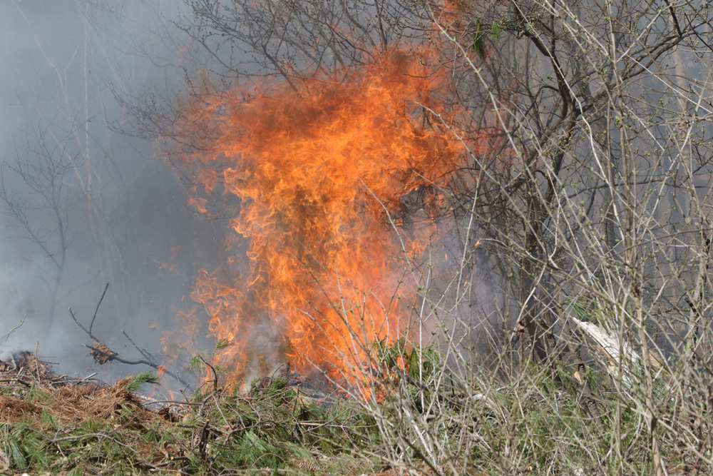Sparks from wires ignite large brush fire | Litchfield.bz