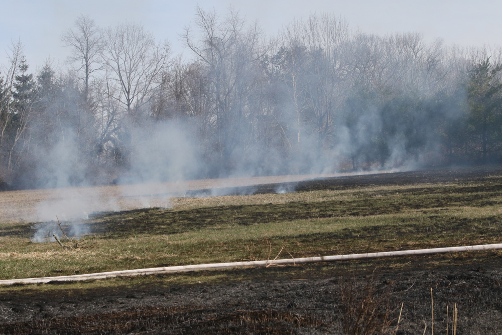 Wind-driven fire burns grass and brush | Litchfield.bz