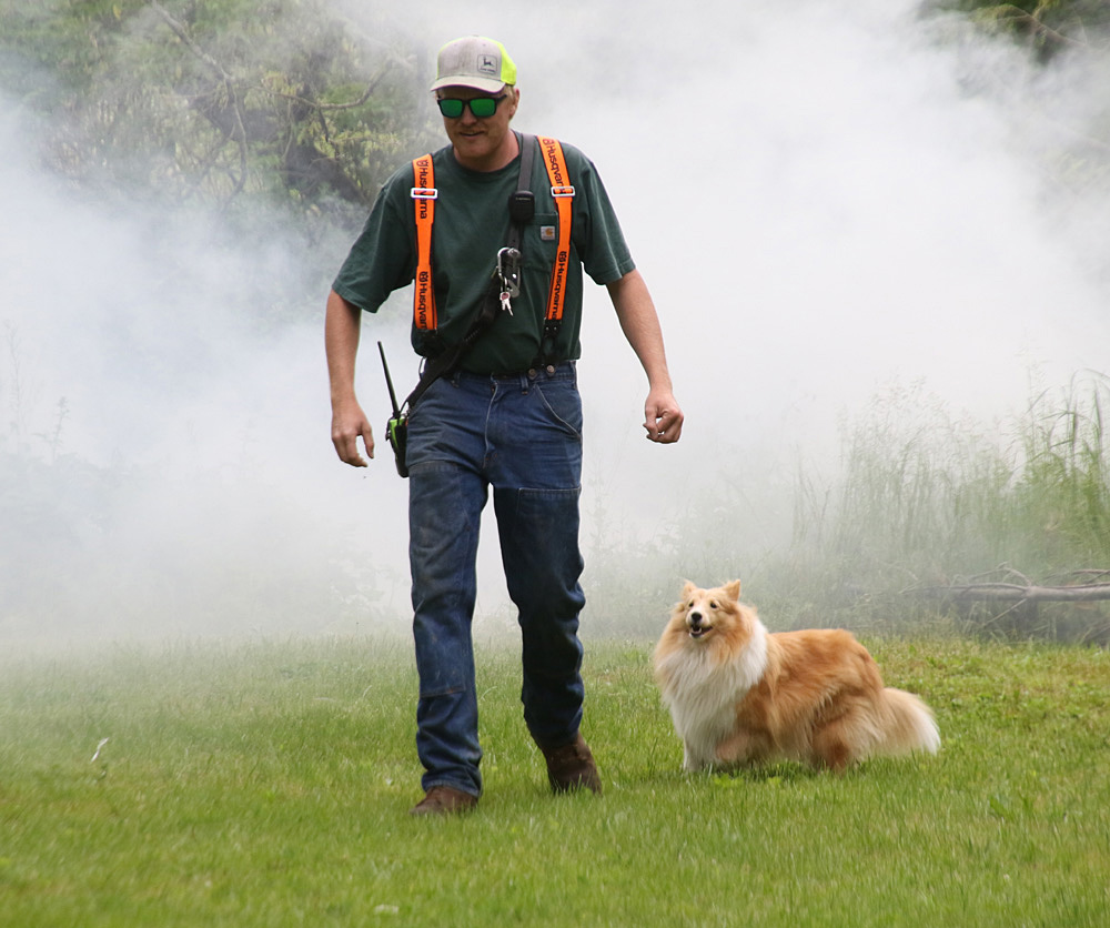Campfire ashes ignite brush fire in Milton | Litchfield.bz