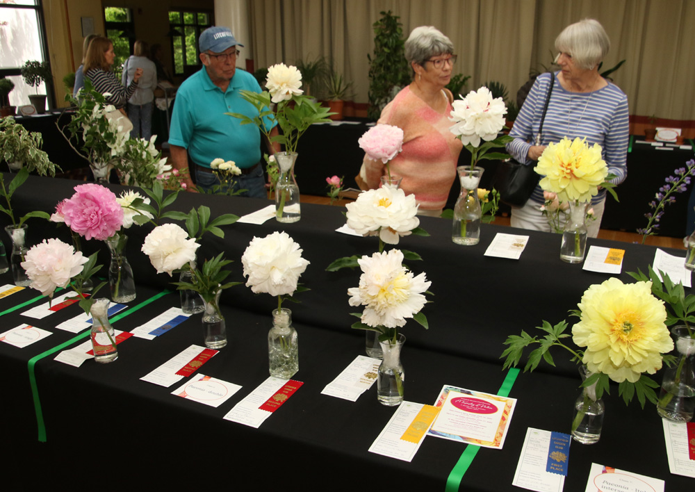 Club Flower show a sweet-smelling success | Litchfield.bz