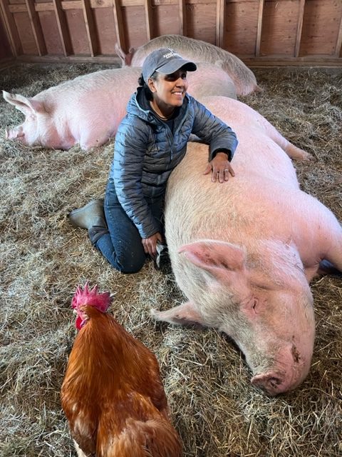 BZ spotlight: JP Farm Animal Sanctuary | Litchfield.bz