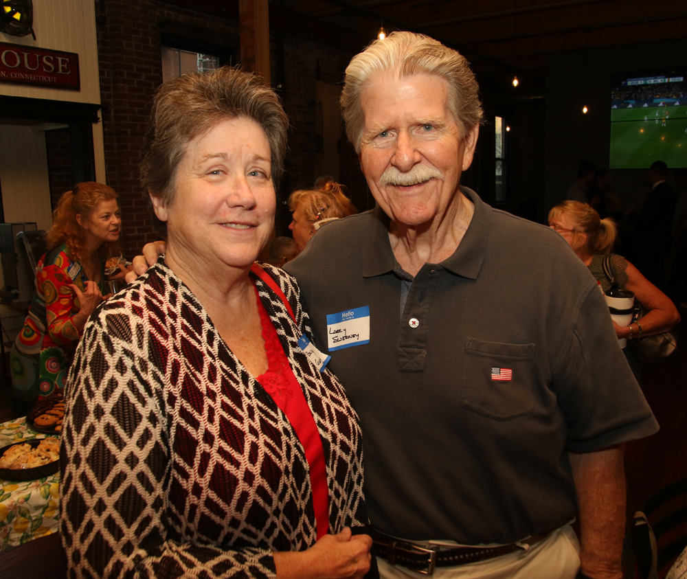 Local Democrats run 30th District election | Litchfield.bz