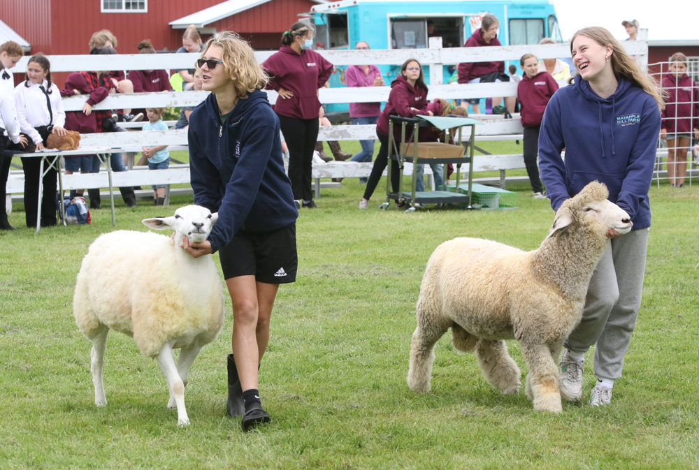 4-H Fair opens at Goshen Fairgrounds | Litchfield.bz