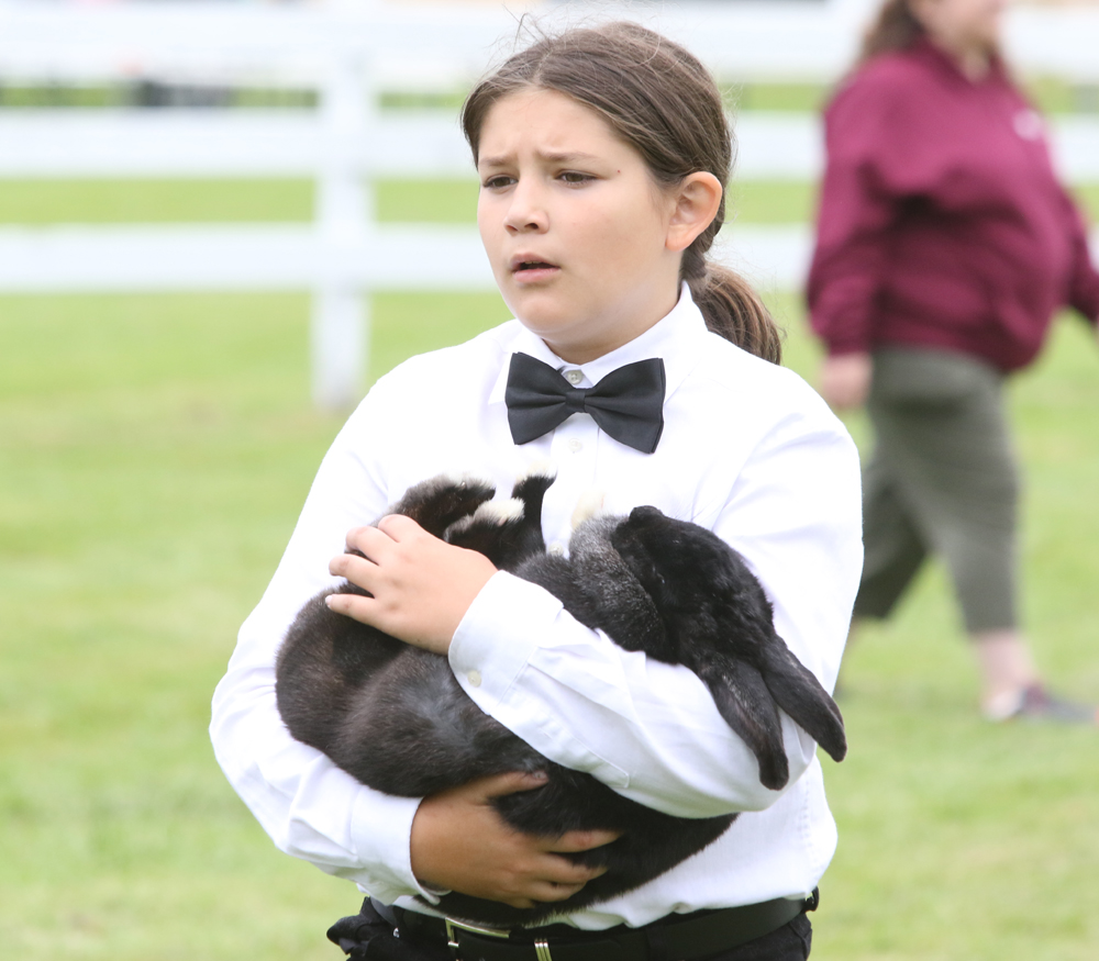 4-H Fair opens at Goshen Fairgrounds | Litchfield.bz