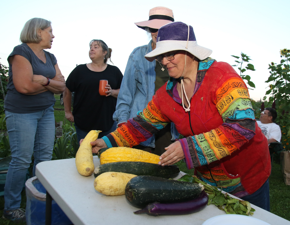 In Warren, a community garden is yielding | Litchfield.bz
