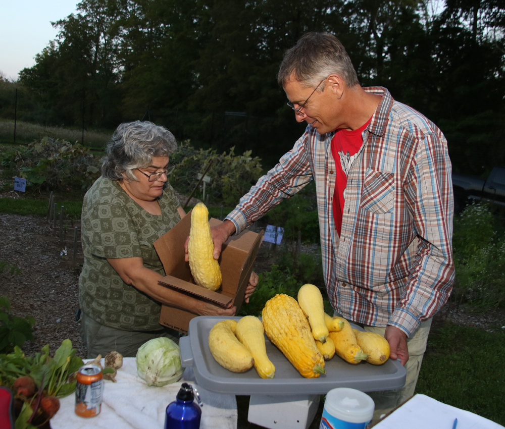 In Warren, a community garden is yielding | Litchfield.bz
