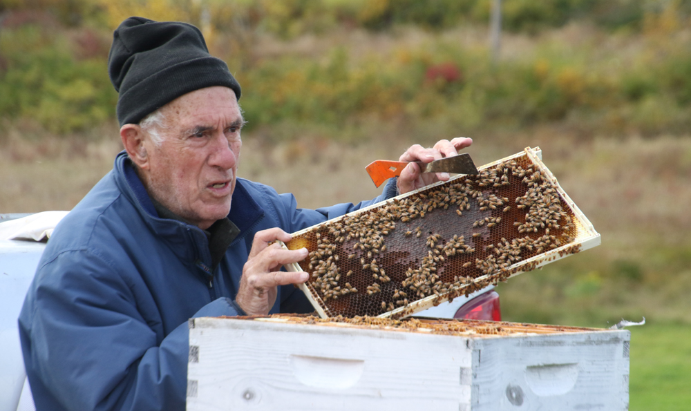 A conservation gem: The new Ripley Field | Litchfield.bz