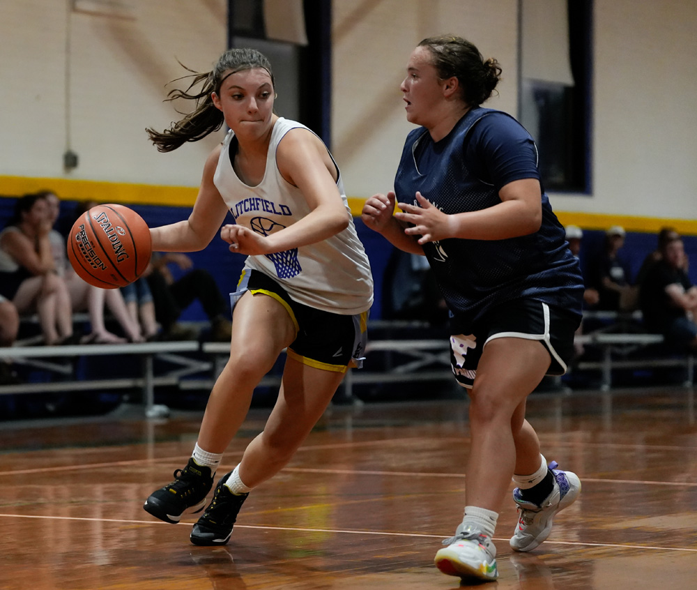 Lakeview girls team setting a foundation | Litchfield.bz