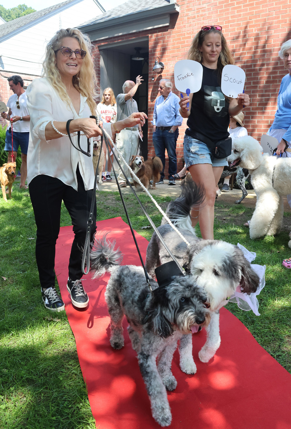 Annual canine fundraiser helps Greenwoods | Litchfield.bz