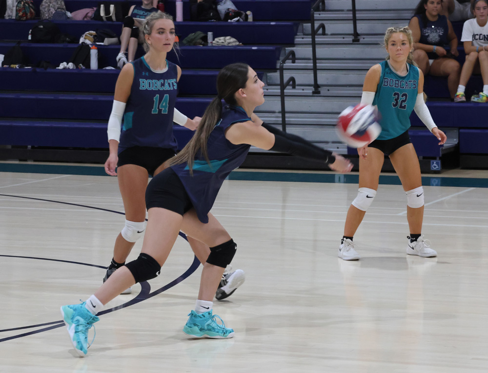 Bobcats fall to Watertown in three games | Litchfield.bz