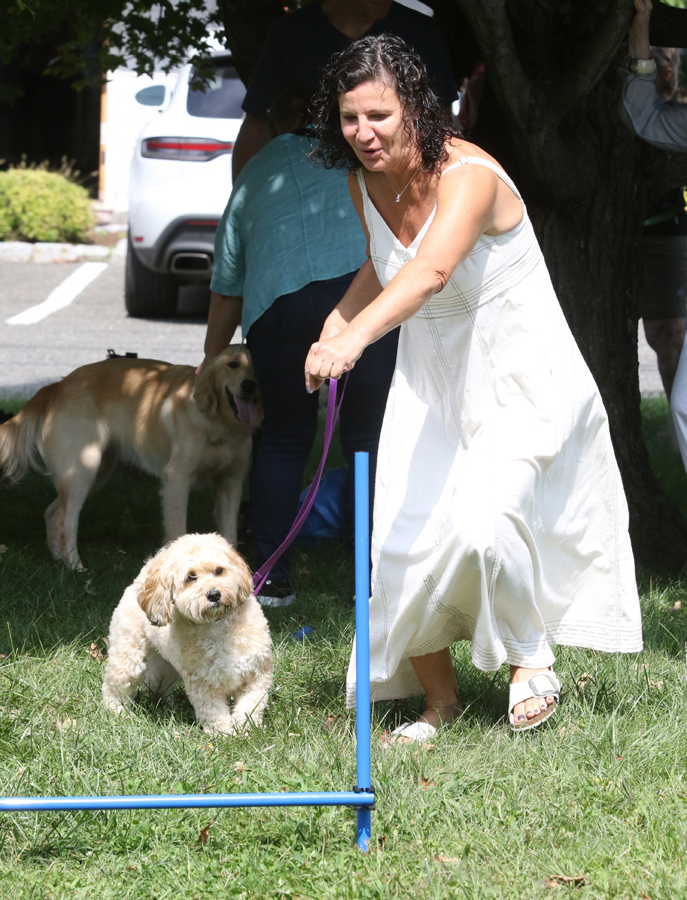 Annual canine fundraiser helps Greenwoods | Litchfield.bz