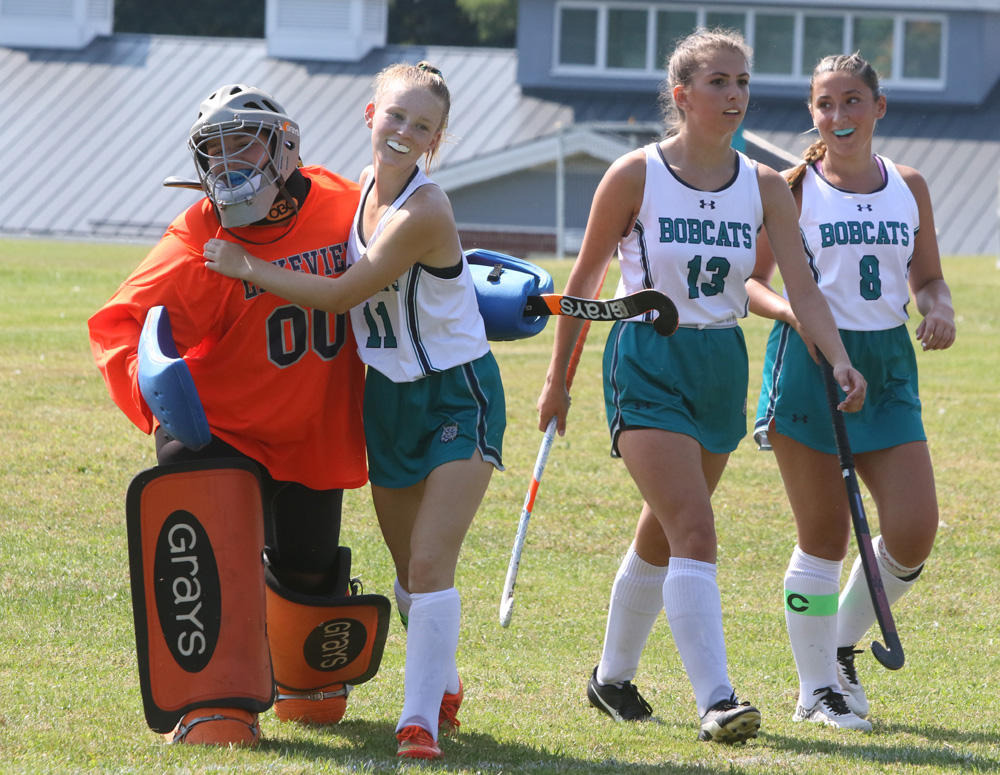 Late goal sends Lakeview down to defeat | Litchfield.bz