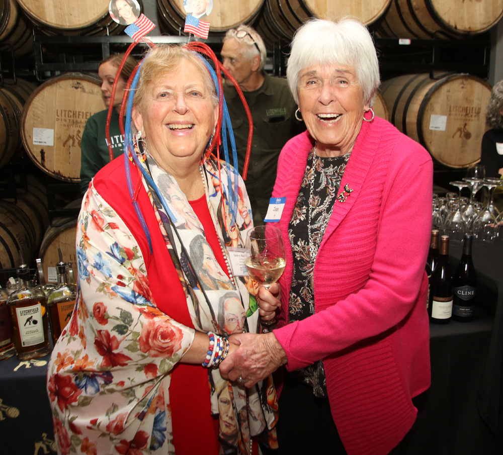 Litchfield Democrats host election rally | Litchfield.bz