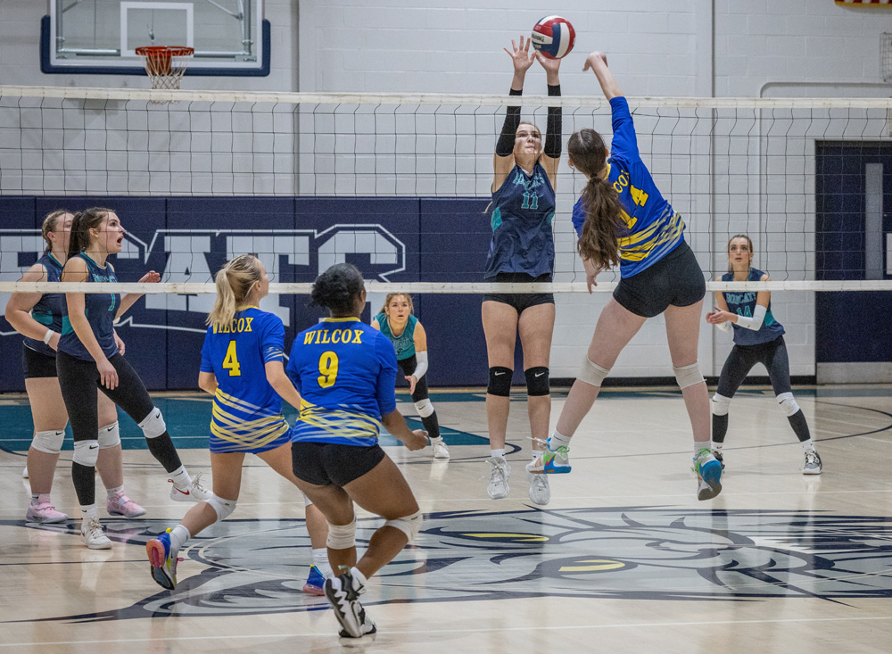 Bobcats ousted in Class M tourney thriller | Litchfield.bz