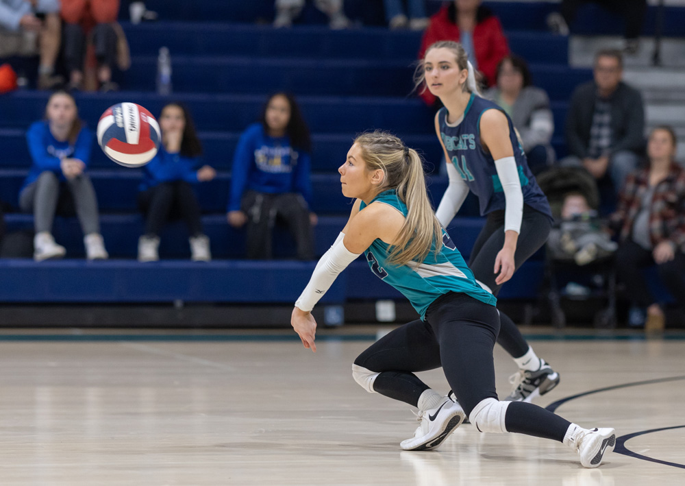 Bobcats ousted in Class M tourney thriller | Litchfield.bz