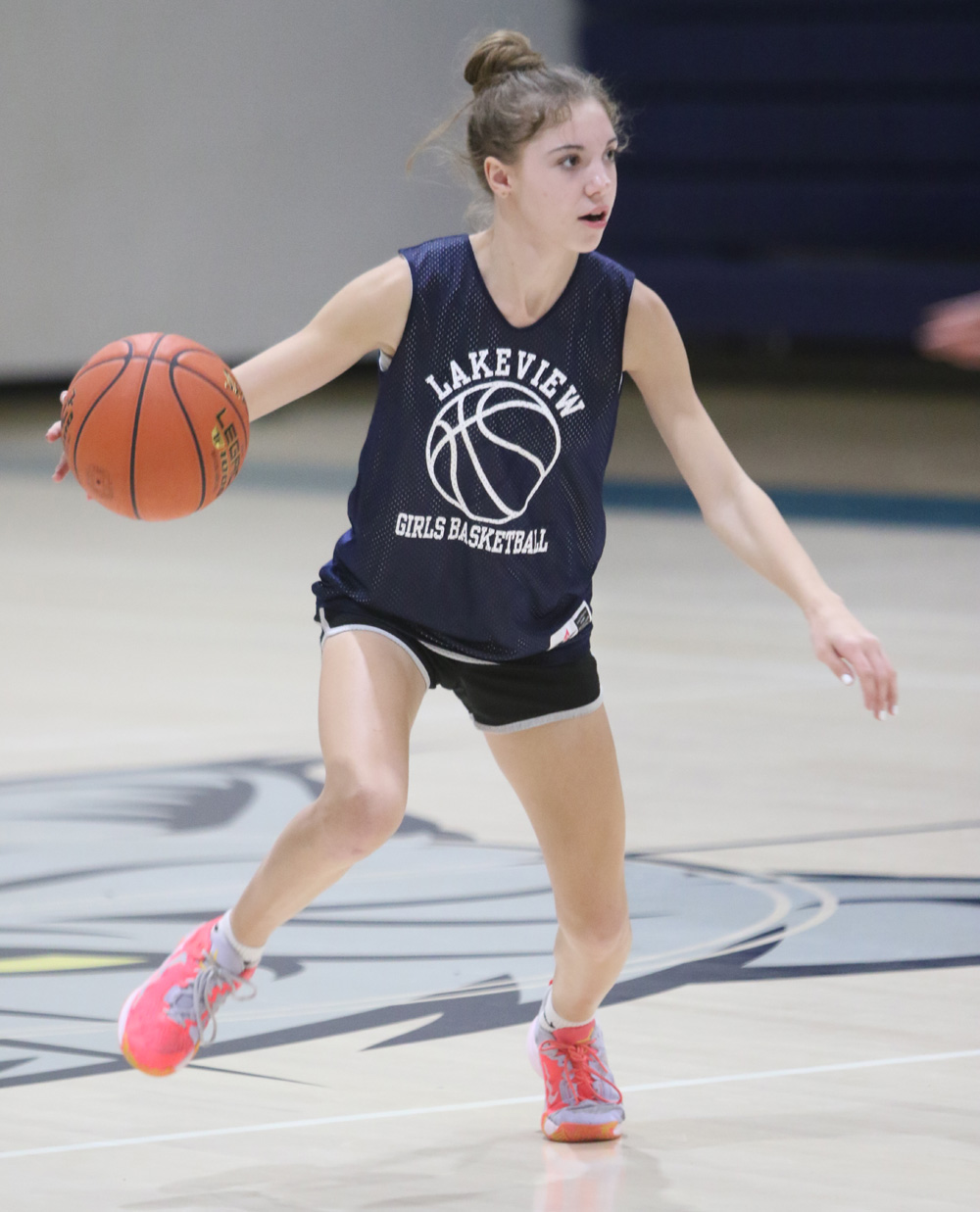 Former rivals join forces at Lakeview | Litchfield.bz