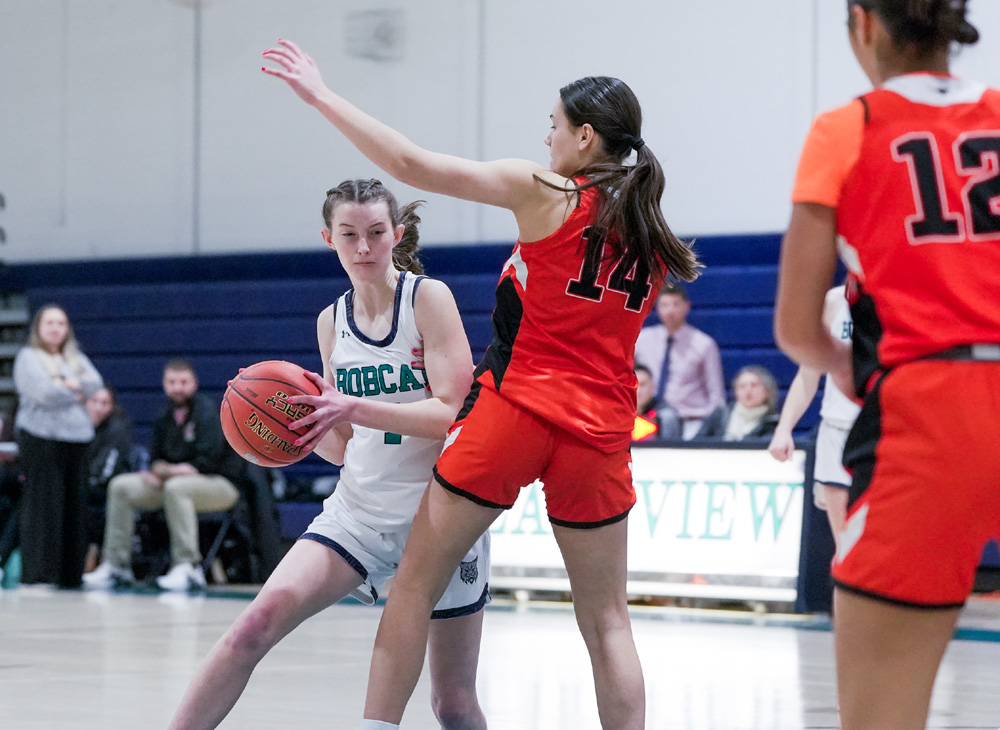 Lakeview girls crush T-ville for third win | Litchfield.bz