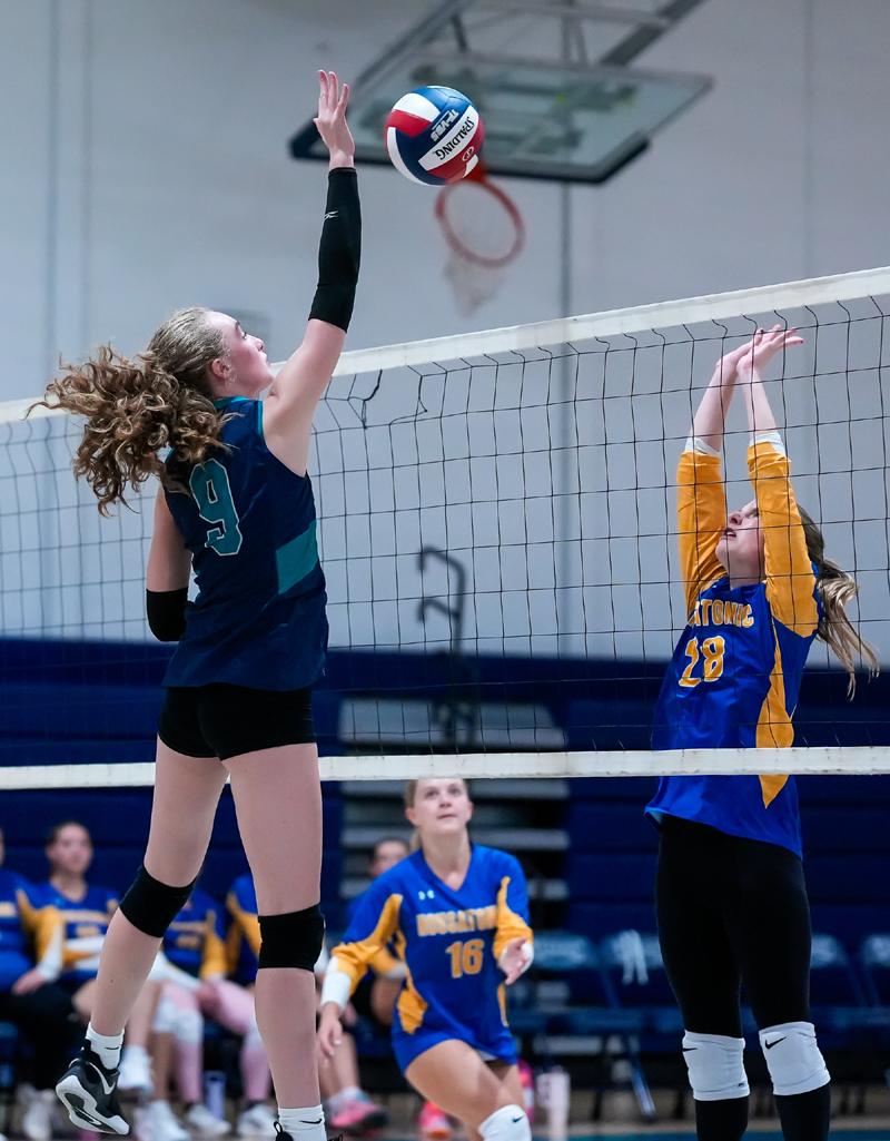 A strong week in volleyball for Lakeview | Litchfield.bz