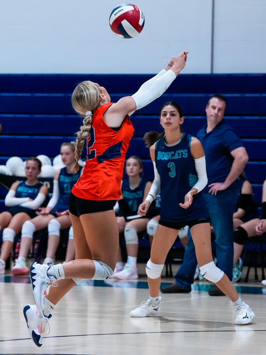 A strong week in volleyball for Lakeview | Litchfield.bz