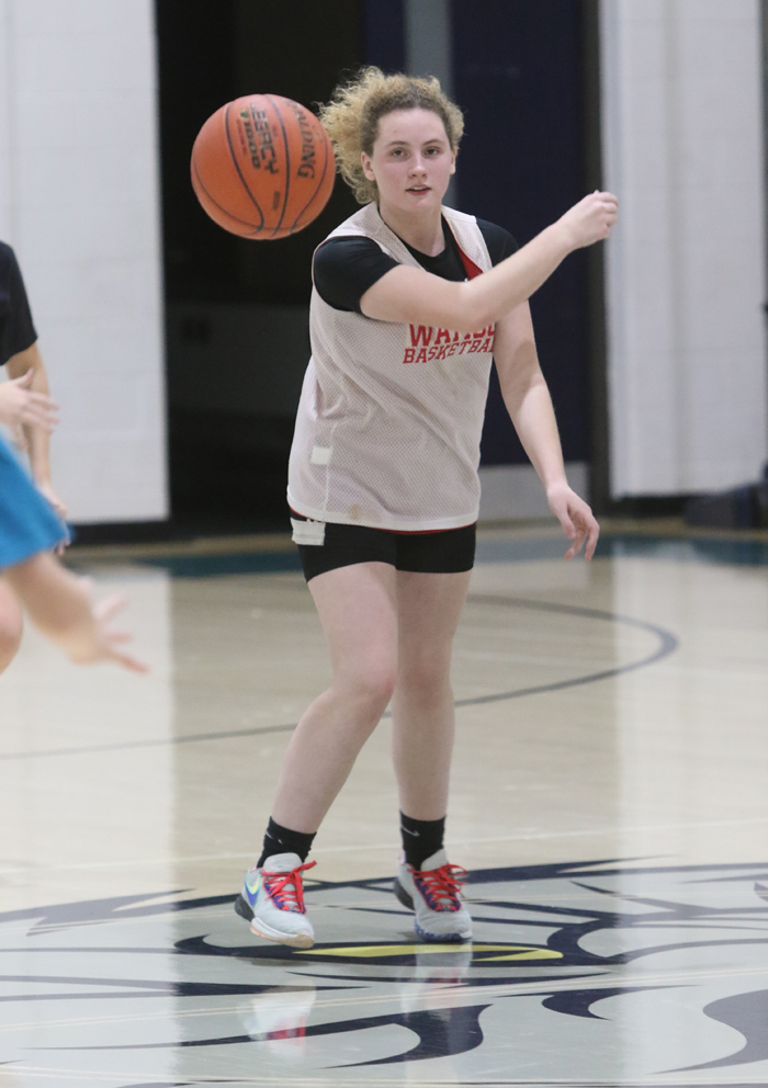 Big turnout as Lakeview girls get started | Litchfield.bz