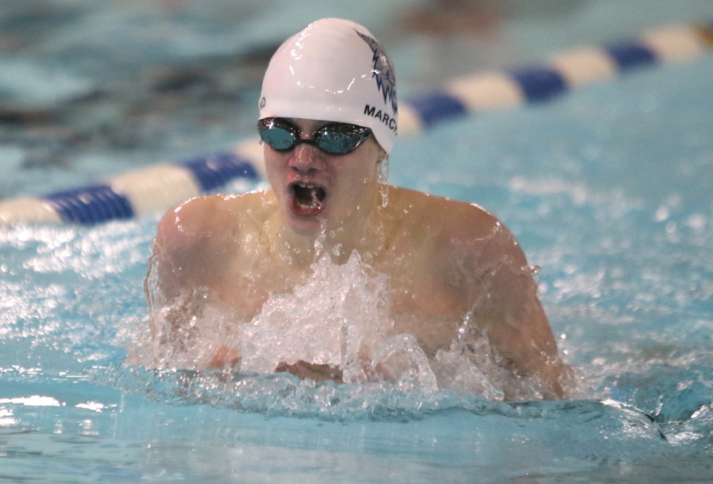 Krukar sets record in Lakeview swim victory | Litchfield.bz