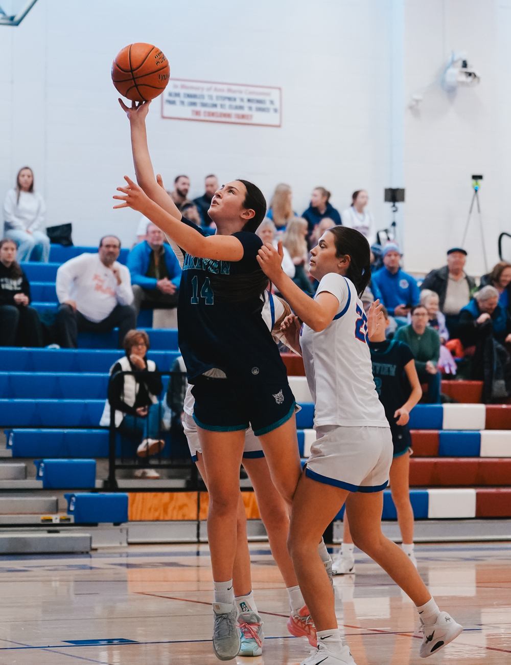 Barone leads ‘Cats to big non-league win | Litchfield.bz