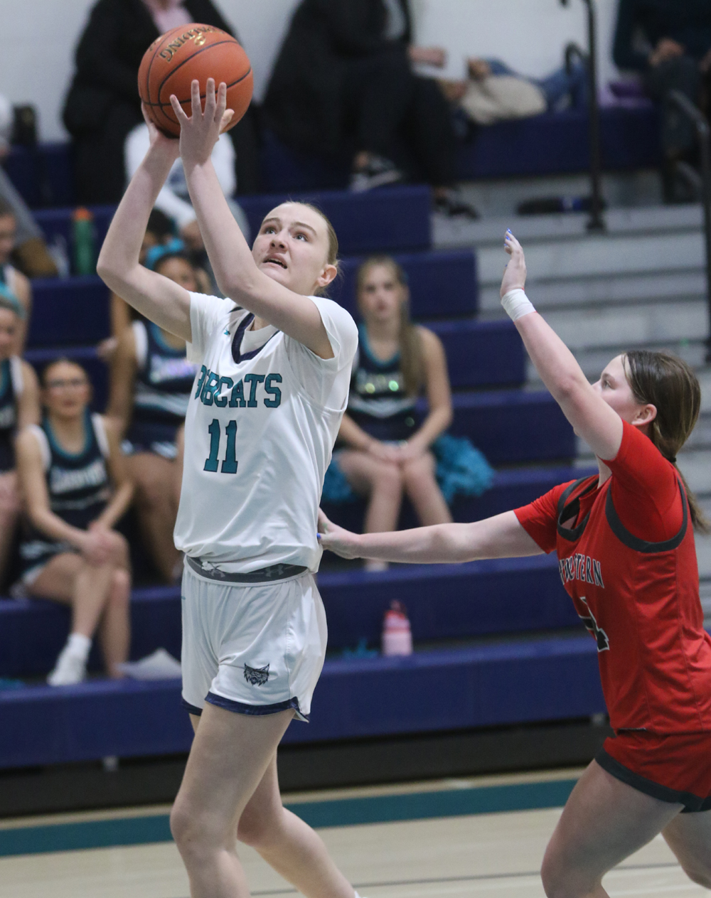 Memorable season taking shape for ‘Cats | Litchfield.bz